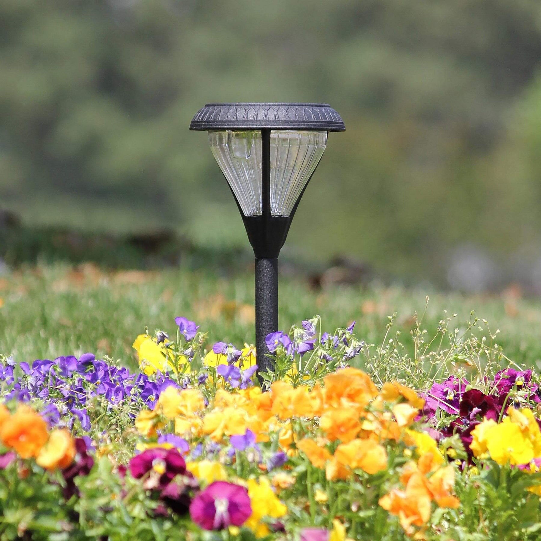 Classic Solar Pathway Light | 2 Pack | Choose Bright or Warm White